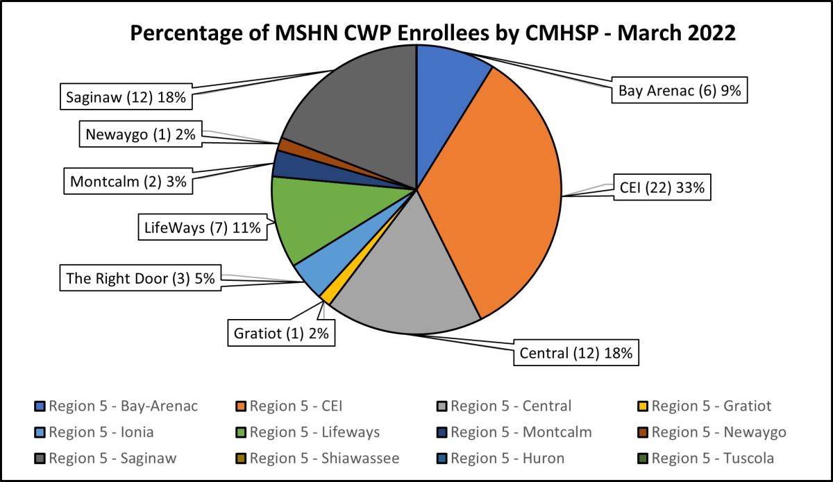 MSHN Data - Mid-State Health Network