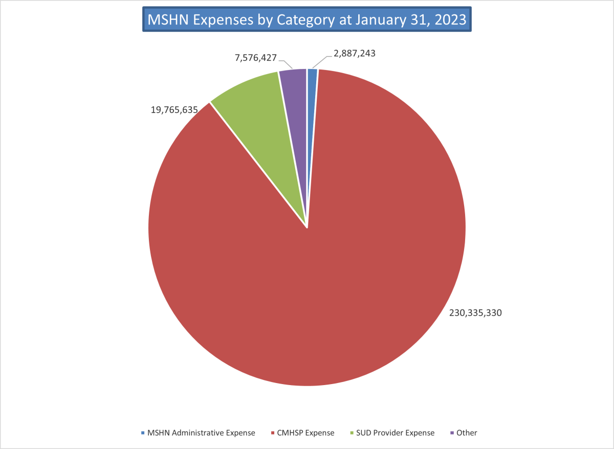 MSHN Data - Mid-State Health Network